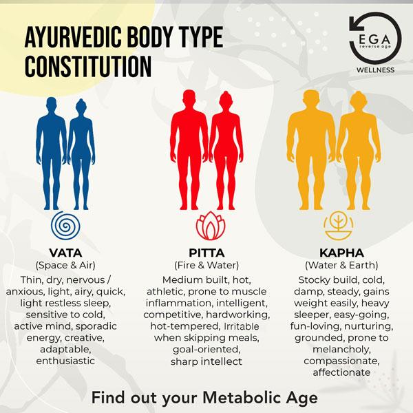 Ayurveda Body Type Chart
