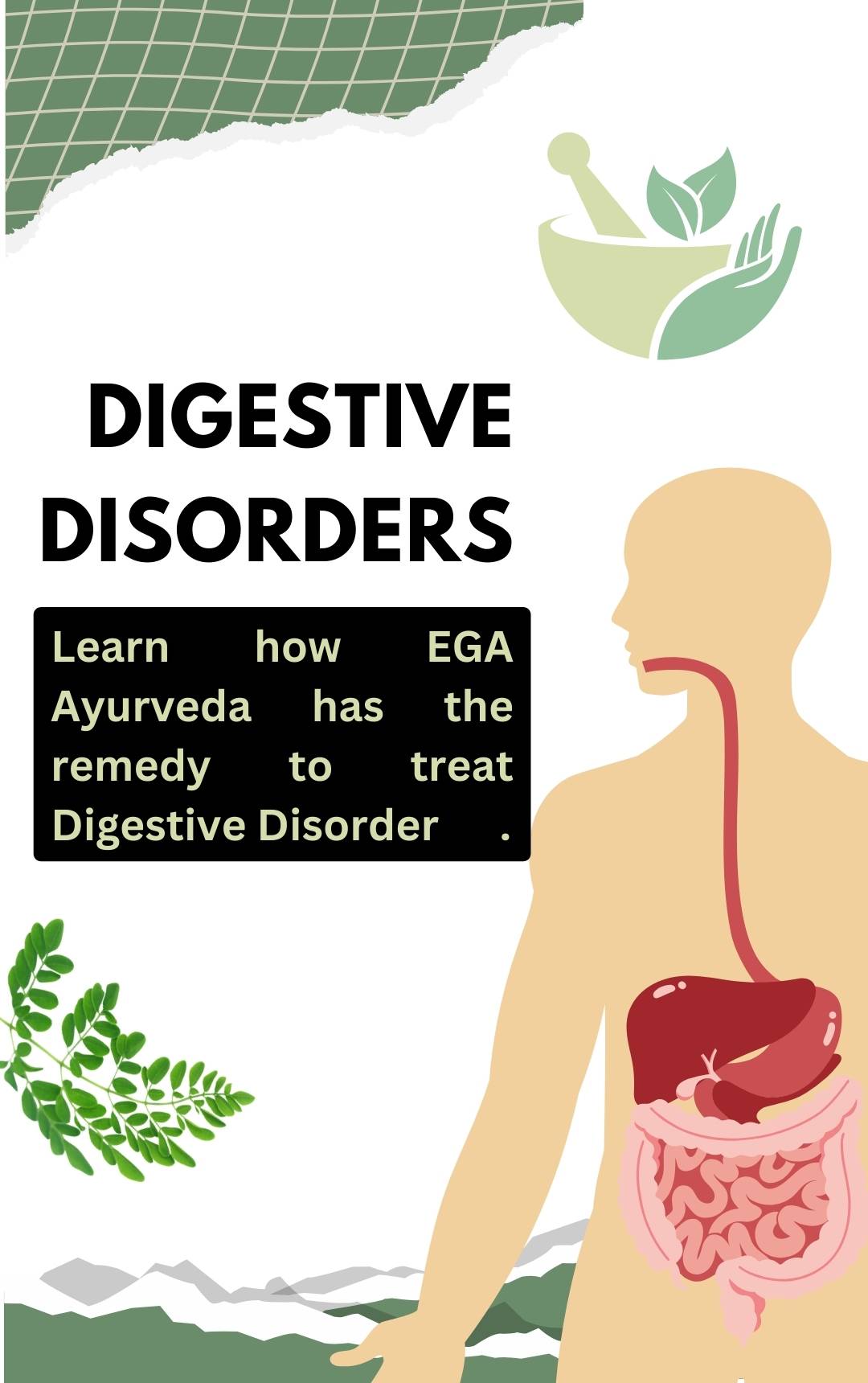 EGA Digestive Disorder Ayurvedic Treatment – EGA Wellness